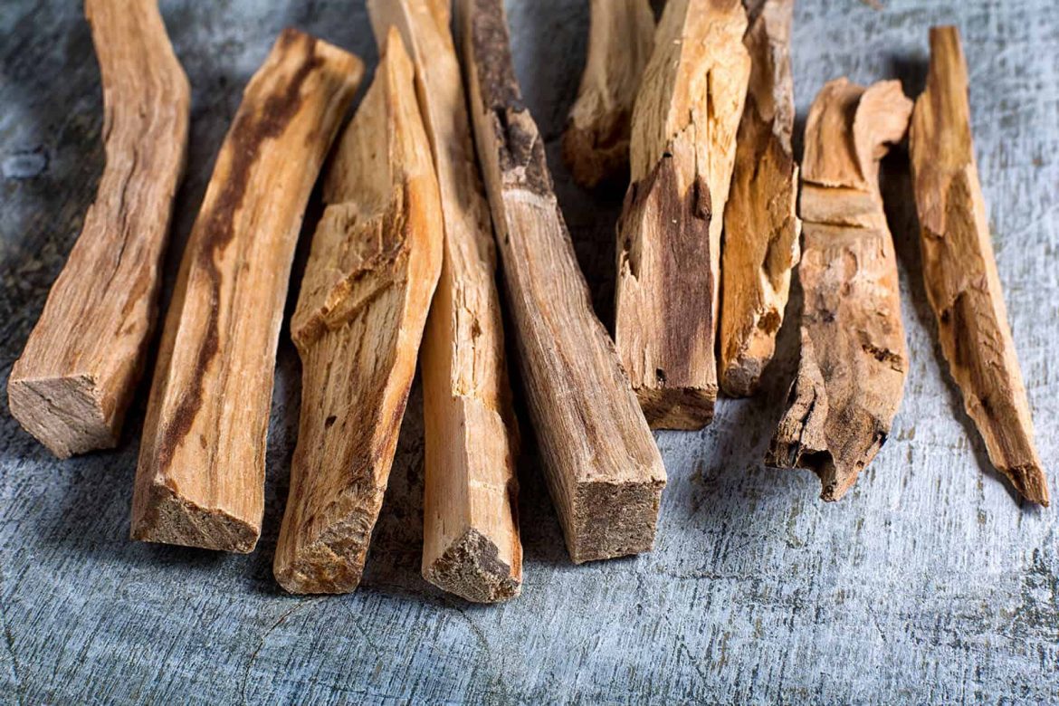 5 Benefits To Our Health When Using Palo Santo Bursera Graveolens ...