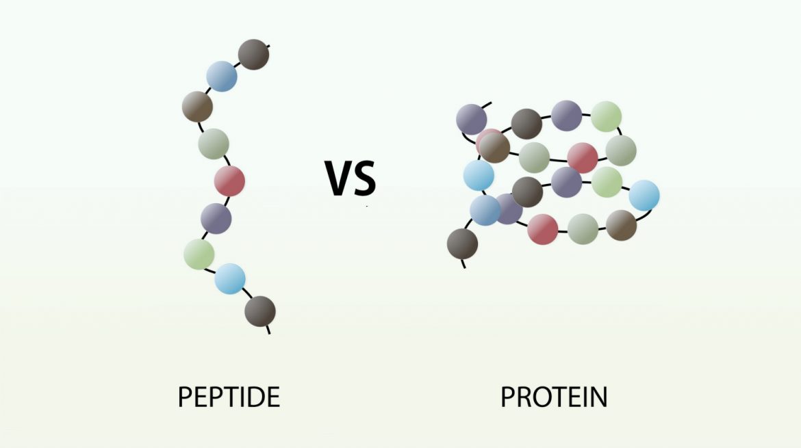 How are Peptides Made? - 2024 Guide - Health Care Reform