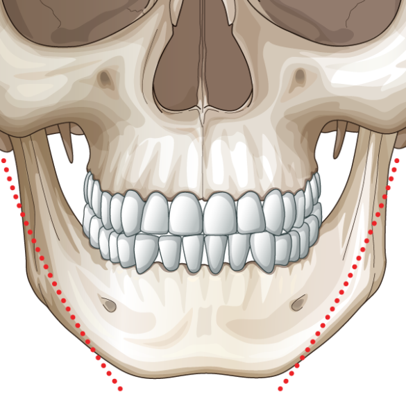 Health Care Reform - Health Magazine
